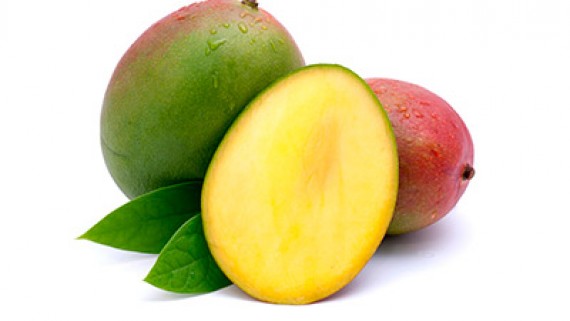 Mango | Trops