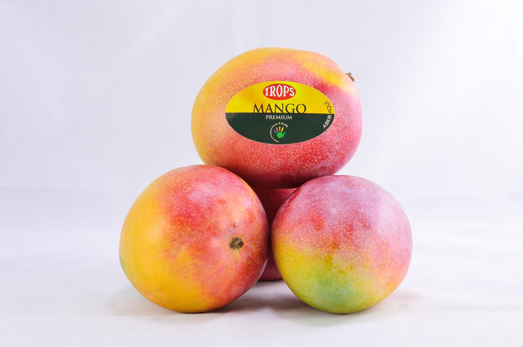 Osteen, Kent y Keitt, las principales variedades de mango de Frutas ...